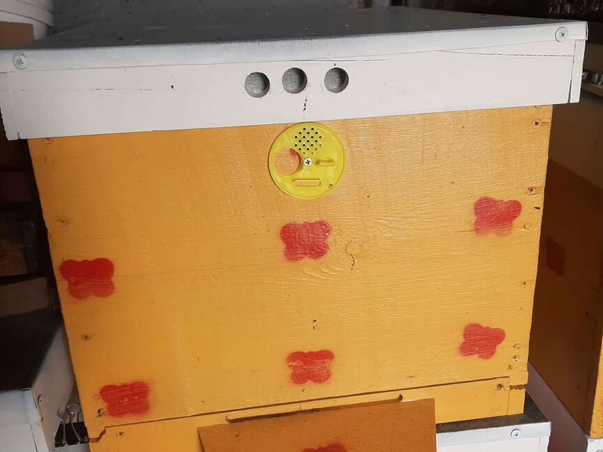 Пчелиный улей