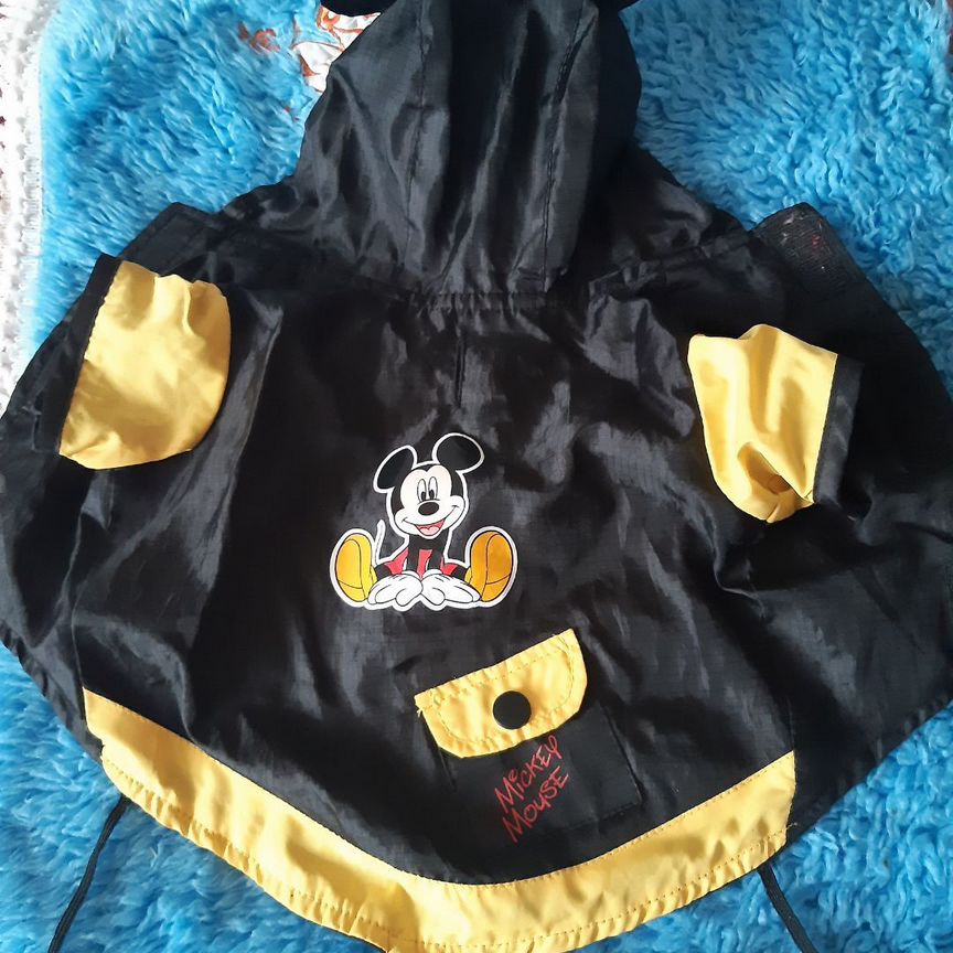 Товары для животных