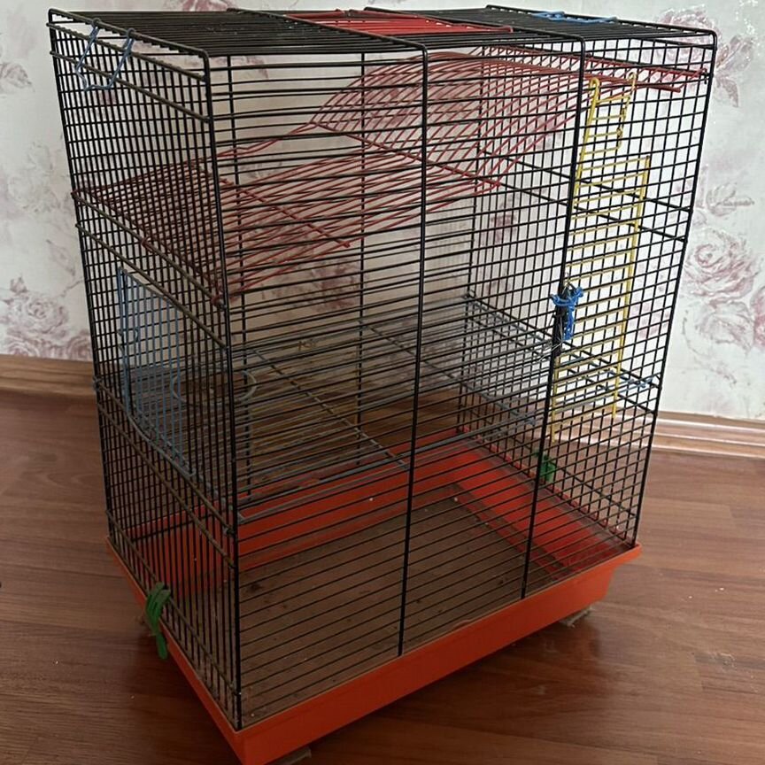 Клетка