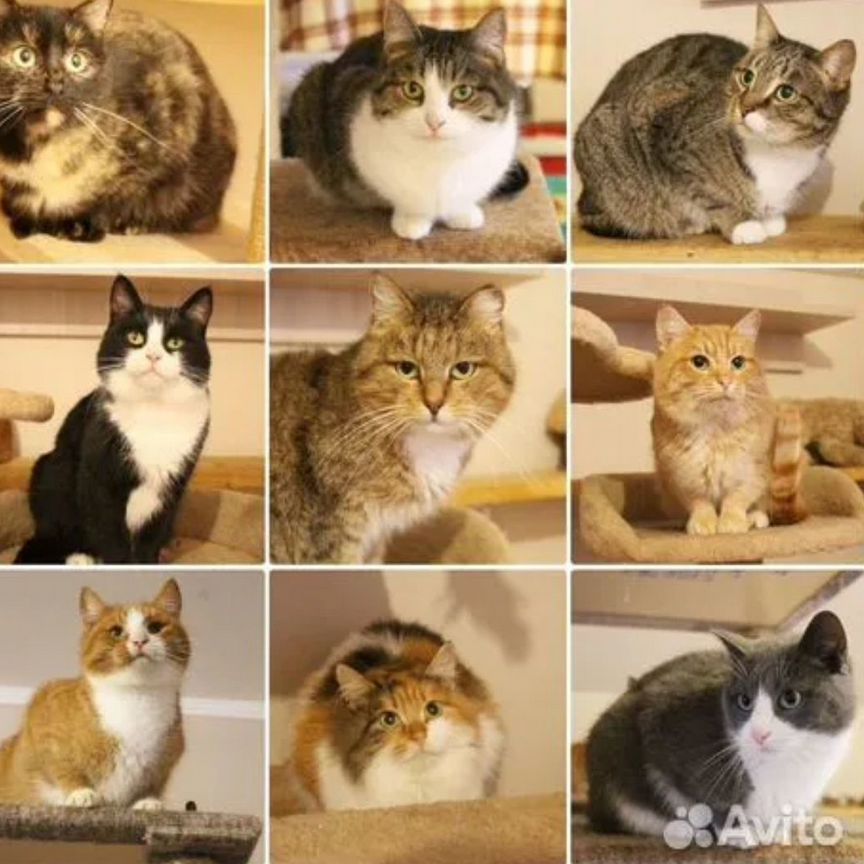 Уральские самоцветы