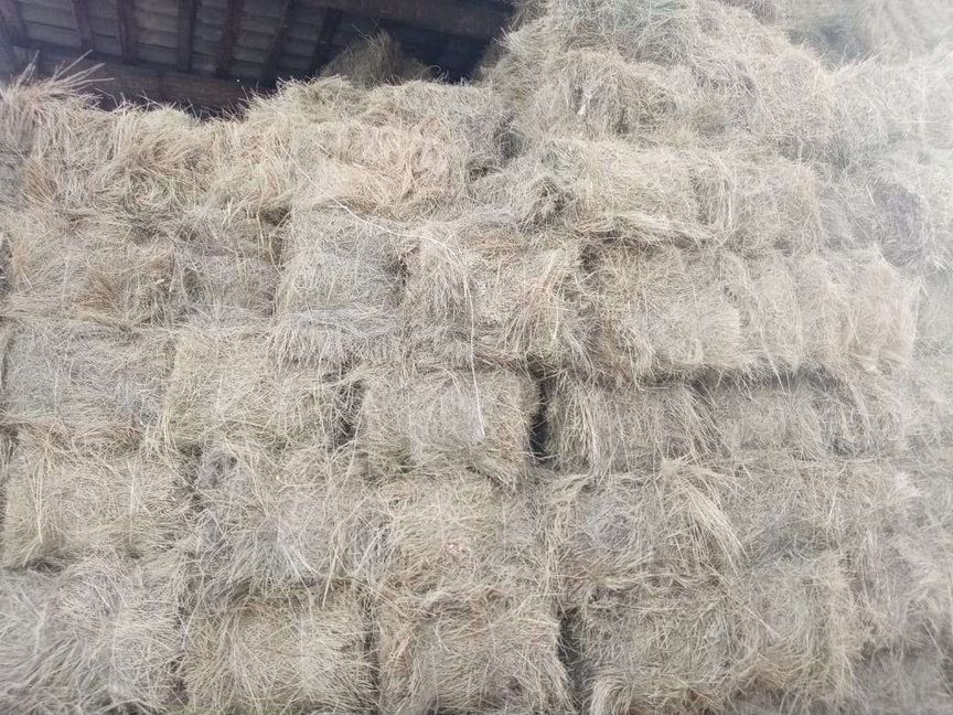 Сено Степное (Обмен)