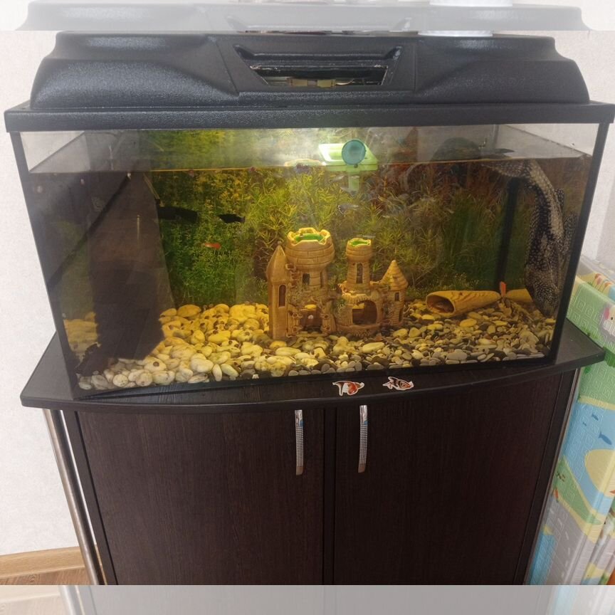 Аквариум с тумбой, рыбками бу 100л