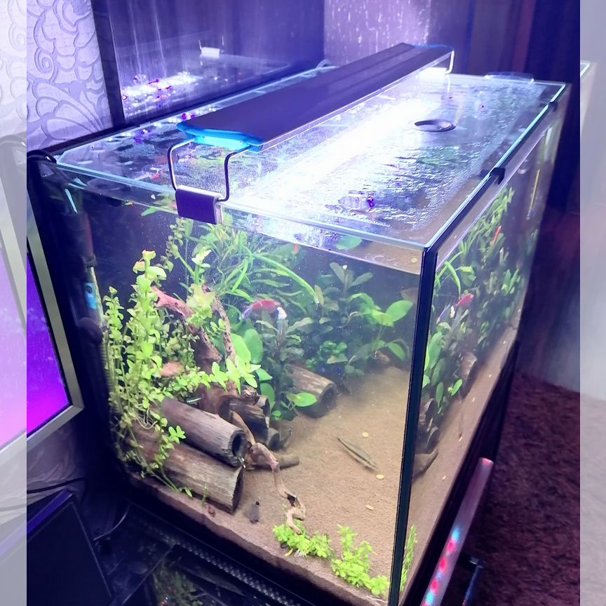 Продам аквариум 90 литров