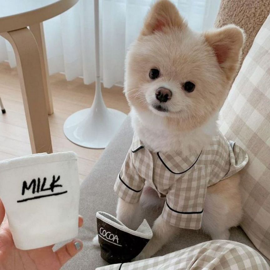 Пижама для собак и кошек