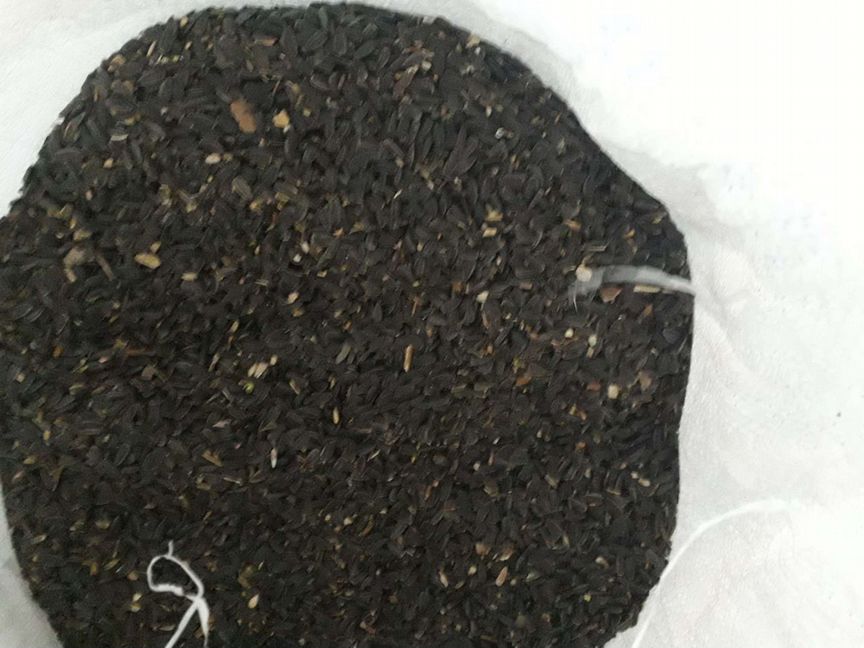 Семечка Маслянка