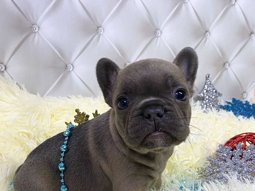 Мини булочки