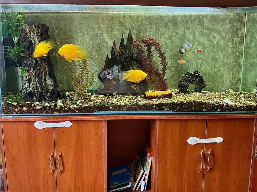 Аквариум с тумбой 400 литров