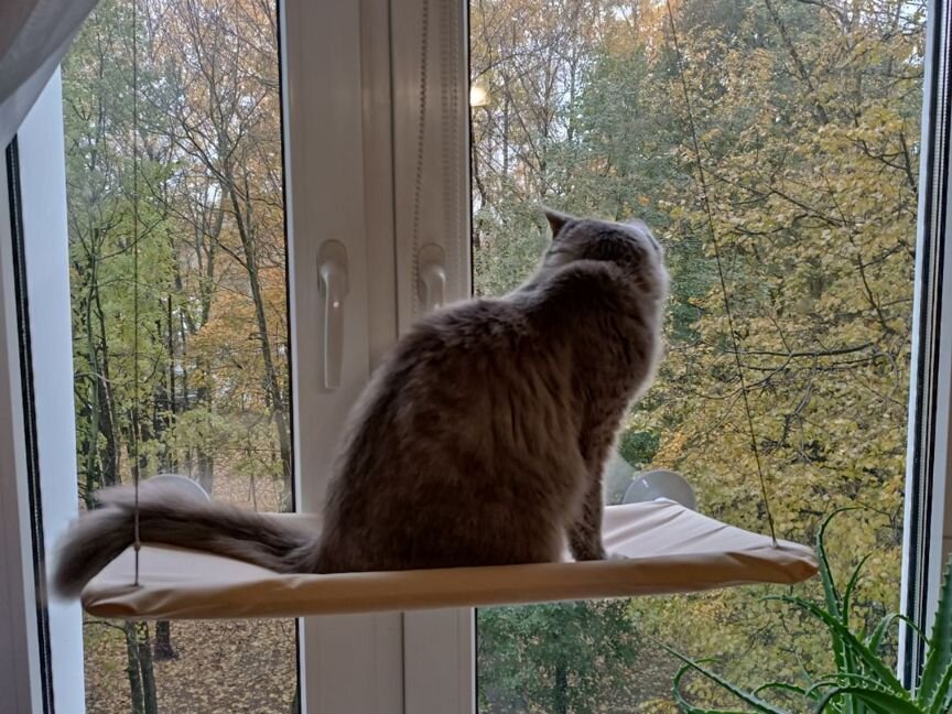 Лежанка для кошек