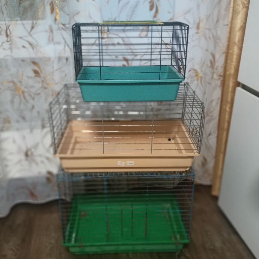 Клетка