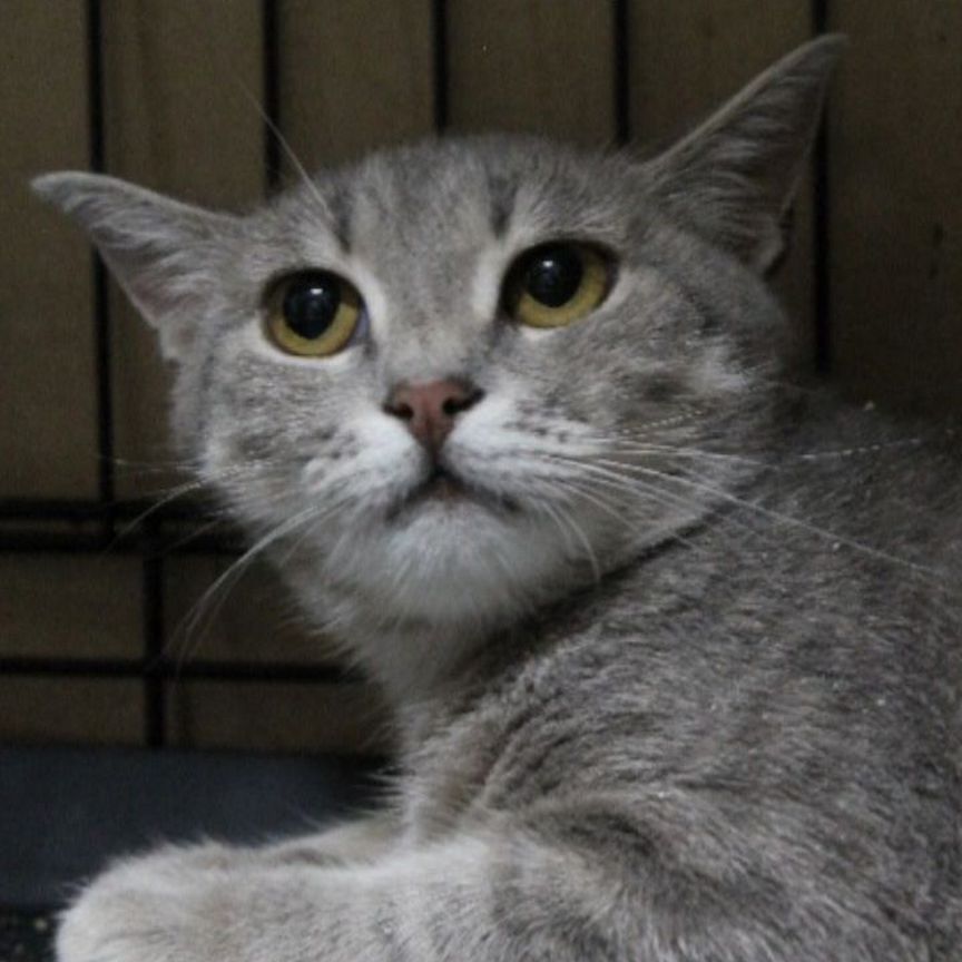 Фрайни заботливым людям