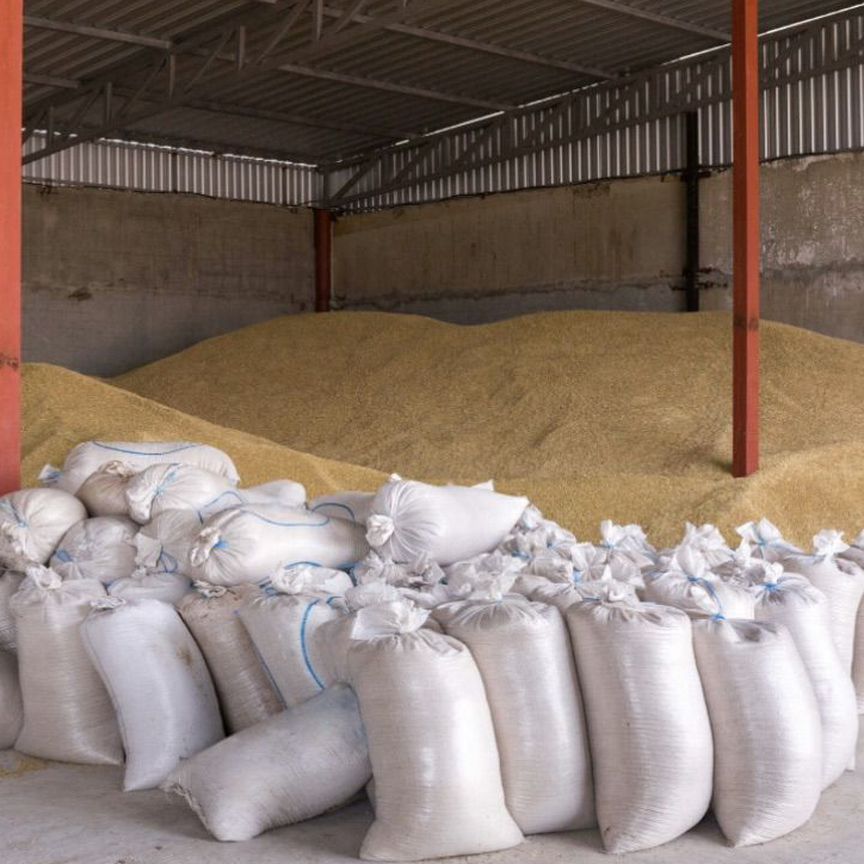 Продажа зерна пшеницы