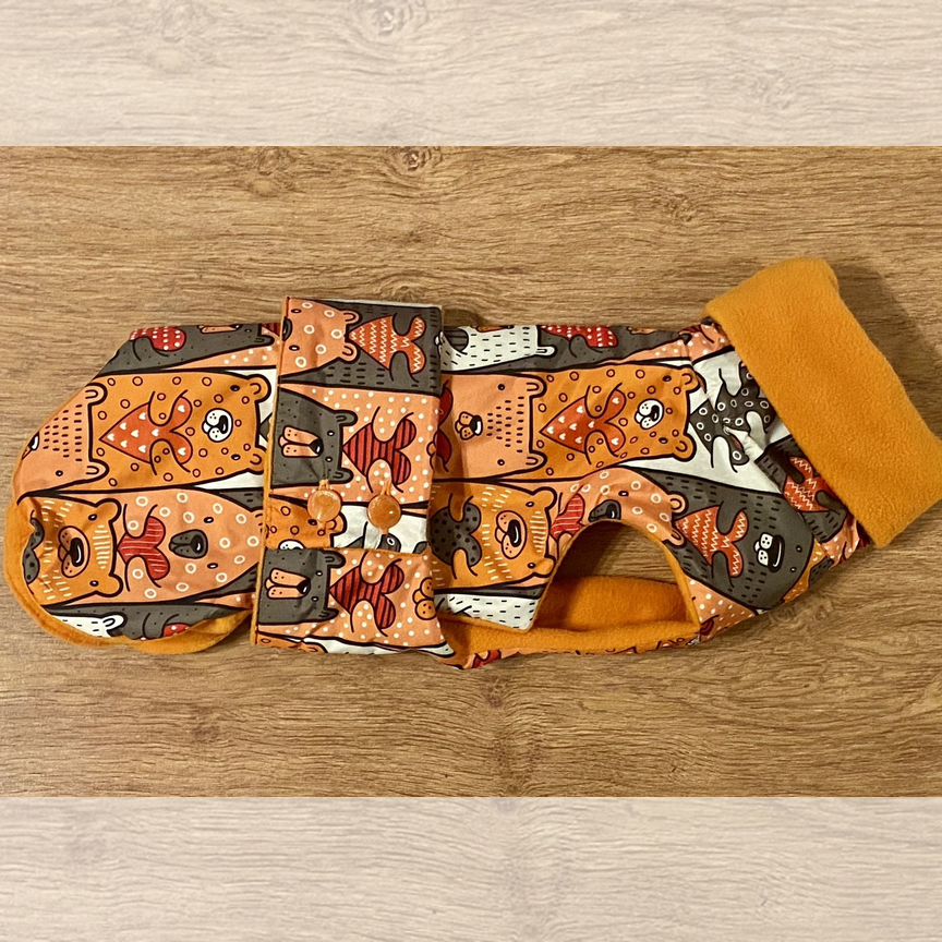 Одежда для басенджи