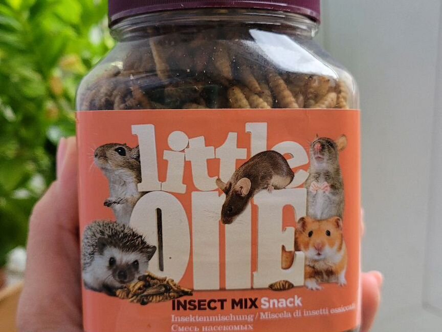 Смесь насекомых Little One