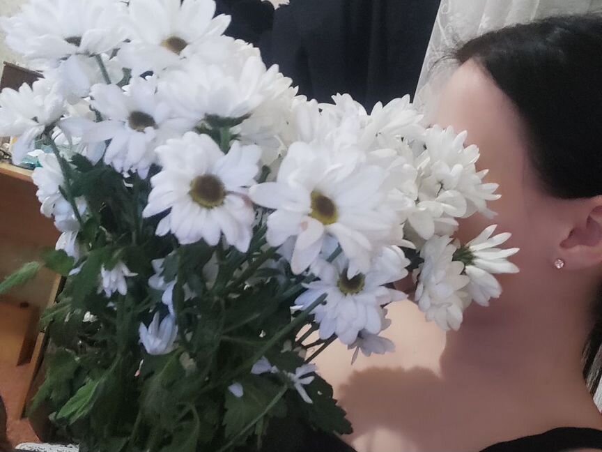 Щенки бультерьера