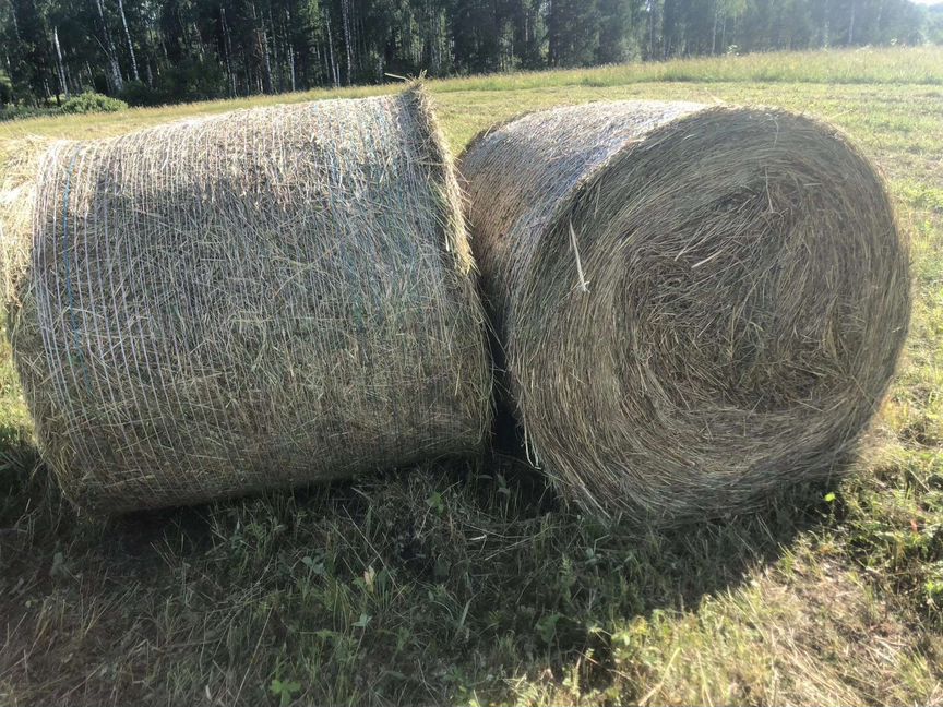 Корм для крс