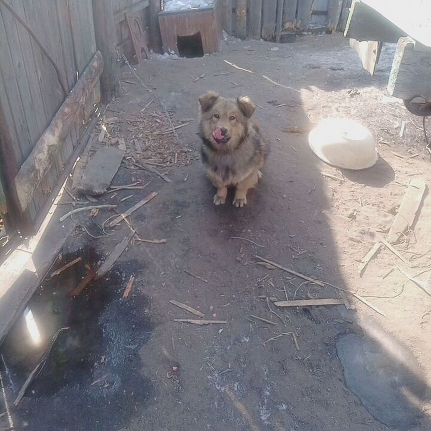 Отдам в добрые руки кабеля