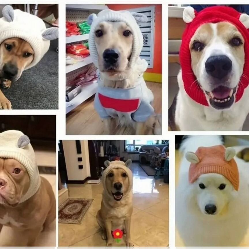 Теплая шапка для собак новая