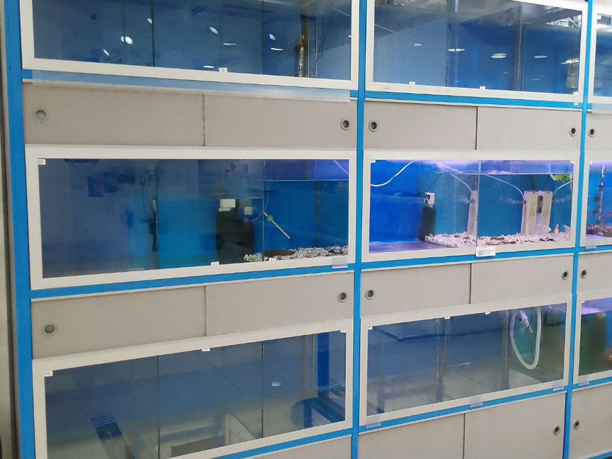 Аквариумная стойка