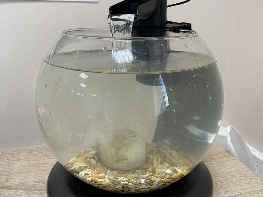 Аквариум tetra globe