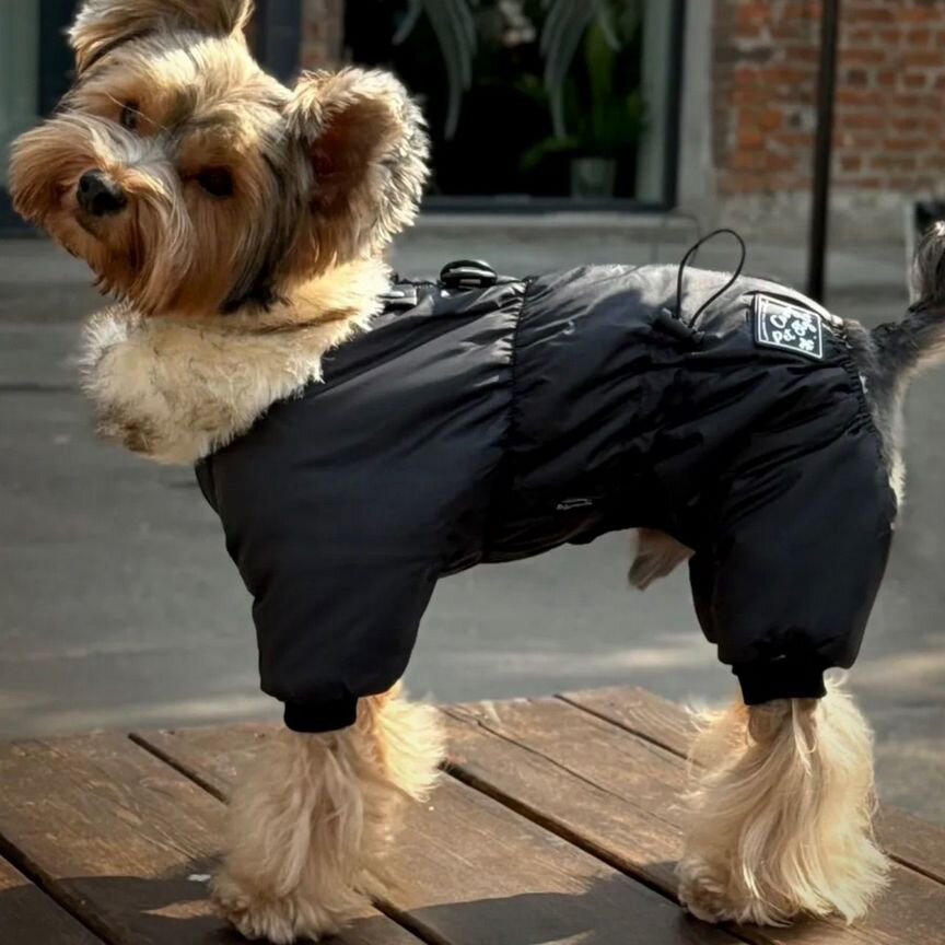 Одежда для маленьких собак L-32