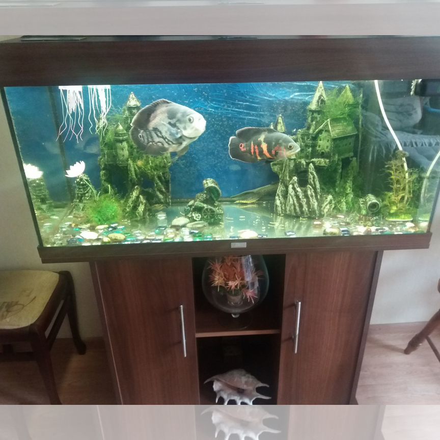 Аквариум с тумбой juwel 180