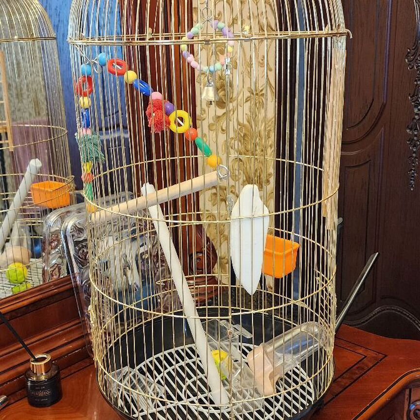 Клетка для попугая бу