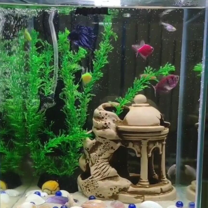 Аквариум 20 литров aquael