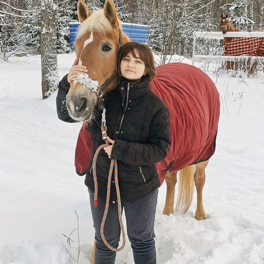 Попона зимняя для лошади 135