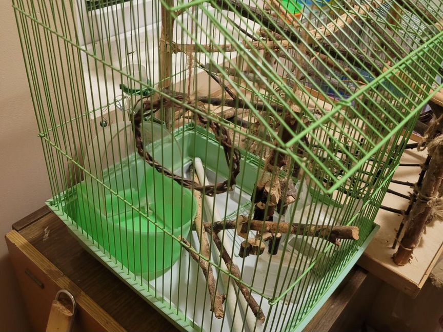Клетка для волнистого попугая