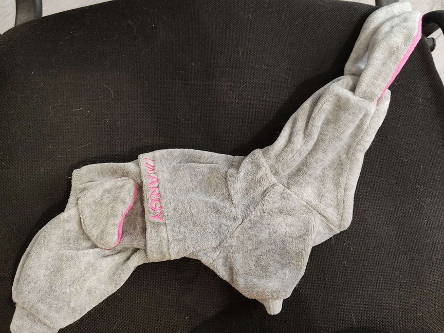 Вещи для чихуахуа или собаки мелкой породы