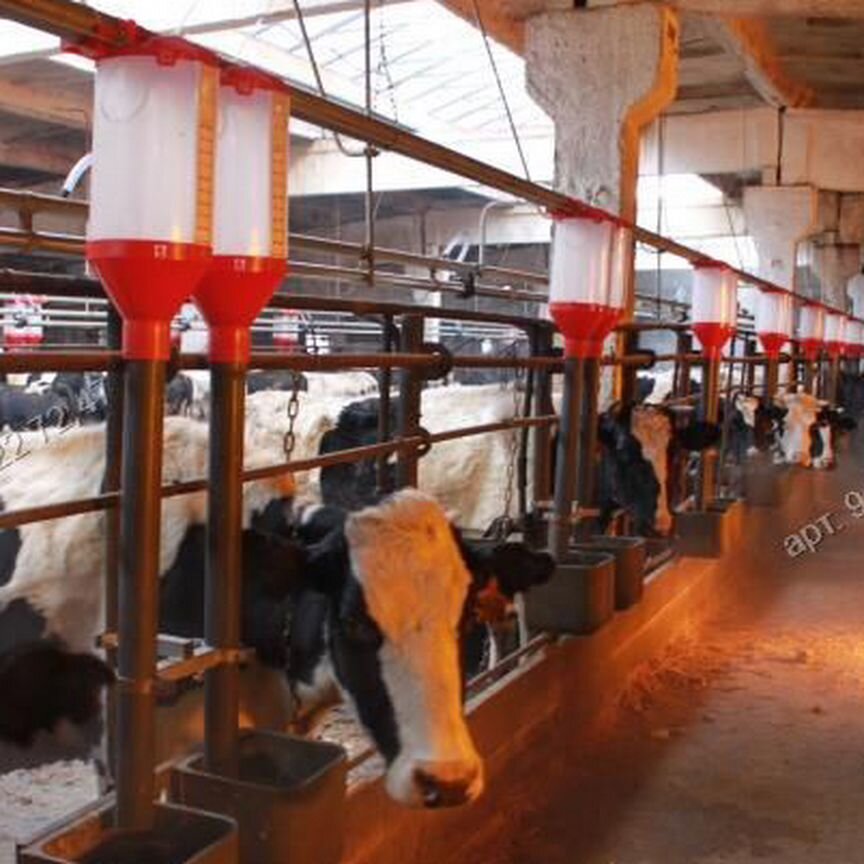 Система автоматического кормления крс