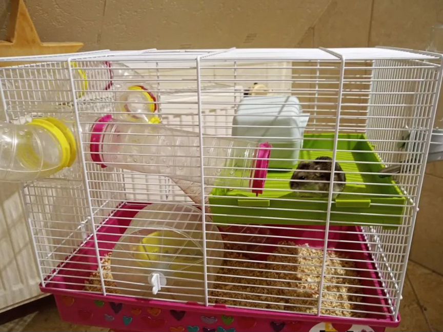 Двухэтажная клетка с трубами для хомяков