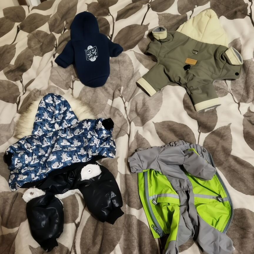 Одежда для маленьких собак