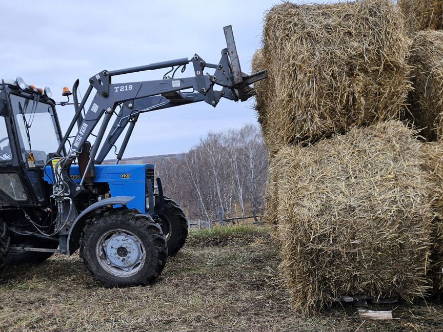 Солома в рулонах 5ц