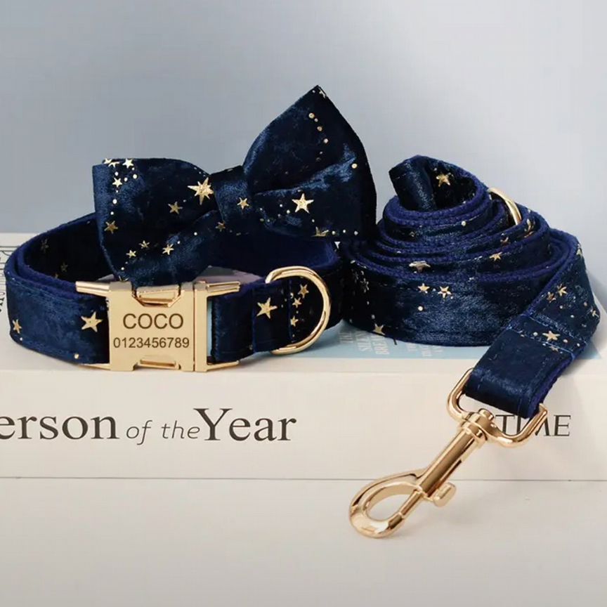 Амуниция для собак и кошек с гравировкой