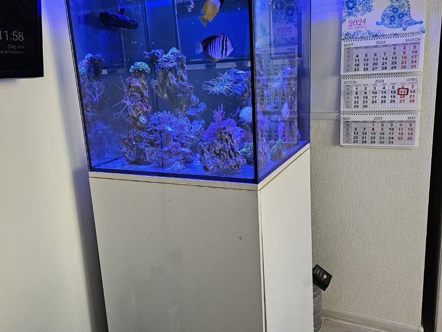 Морской аквариум