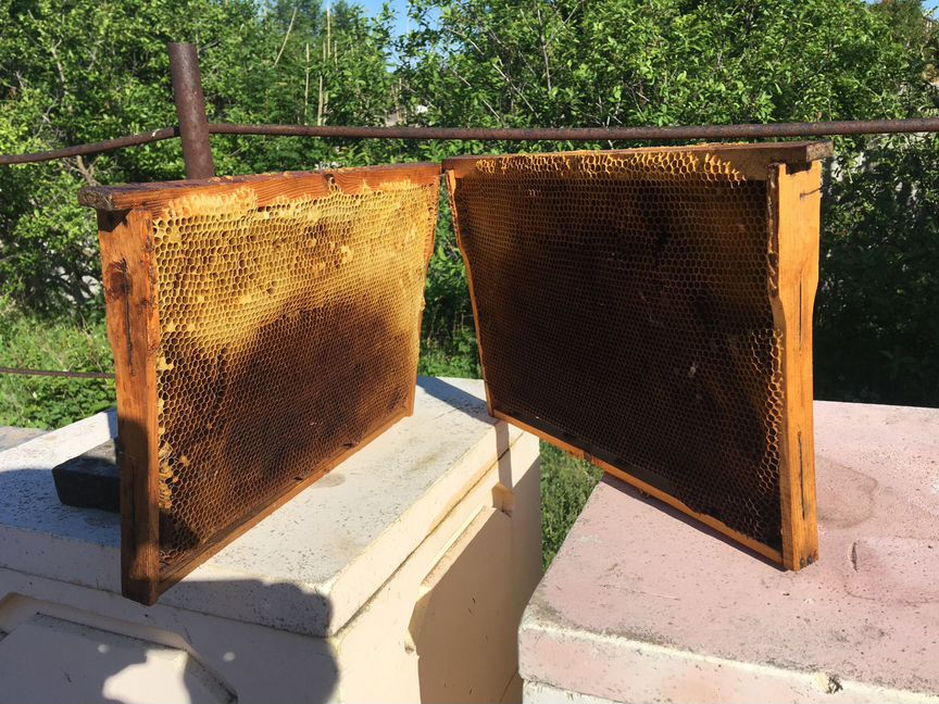 Рамки с сушью, дадан