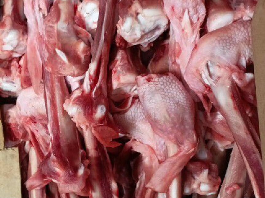 Кости индейки для собак