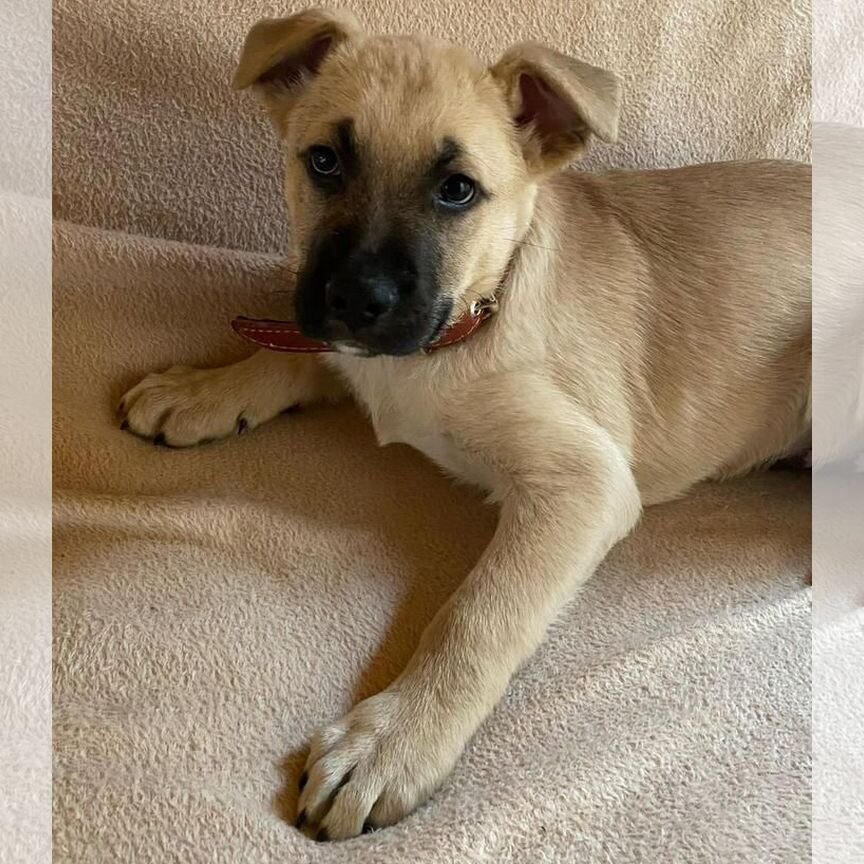 Бароша ищет дом