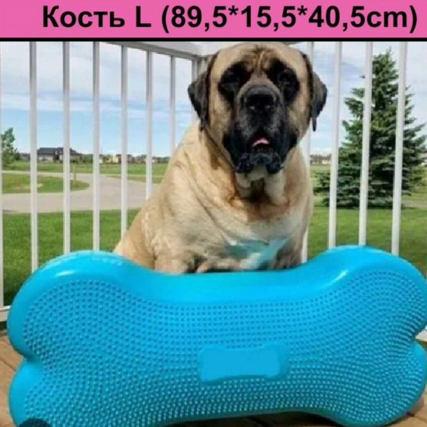 Для собак фитнес