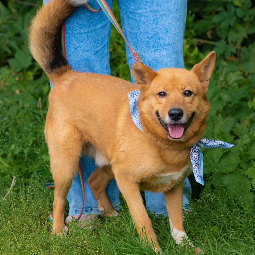 Мишутка. ненужное наследство