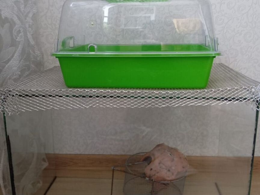 Аквариум для мышей