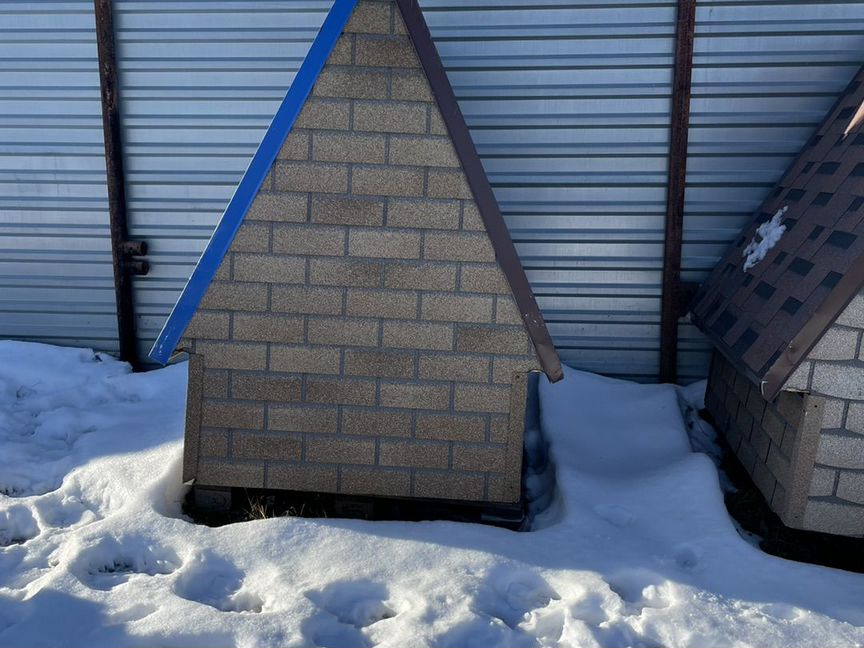 Собачья будка