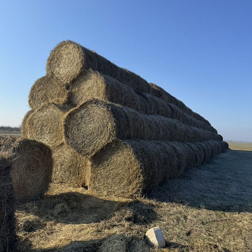 Солома в рулонах