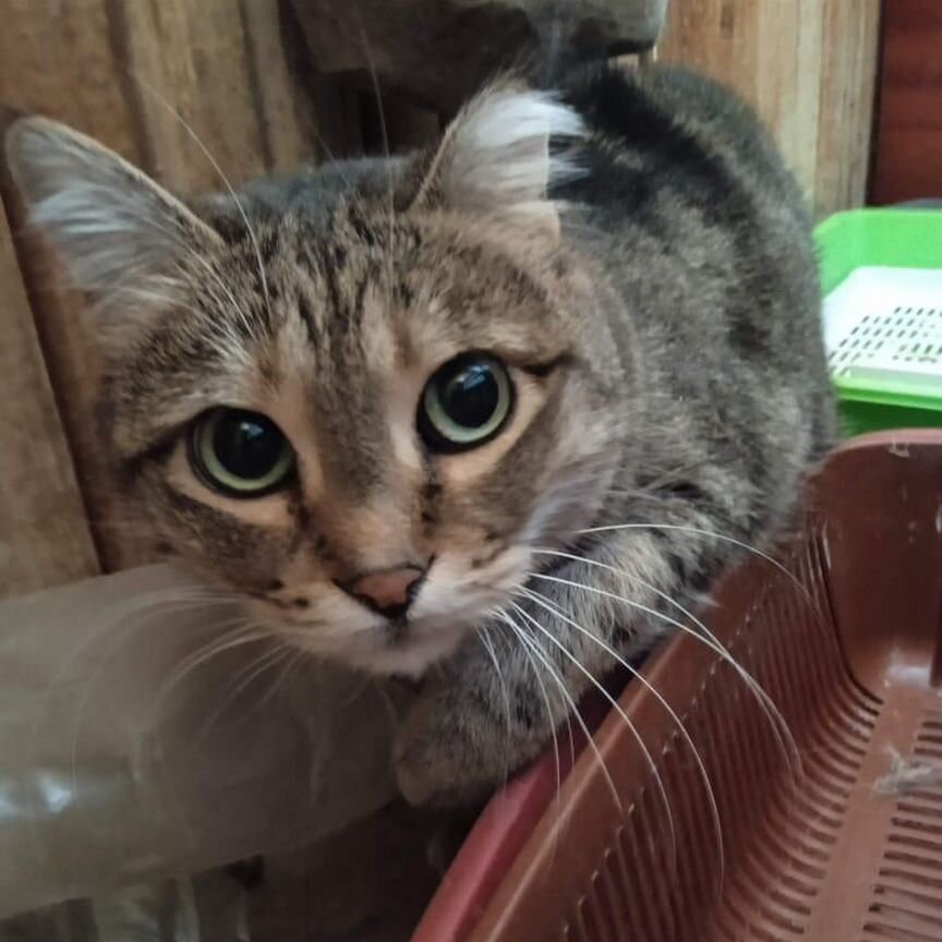 Мраморная красавица ждёт тебя