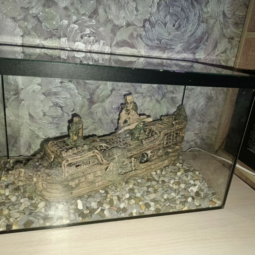 Аквариум
