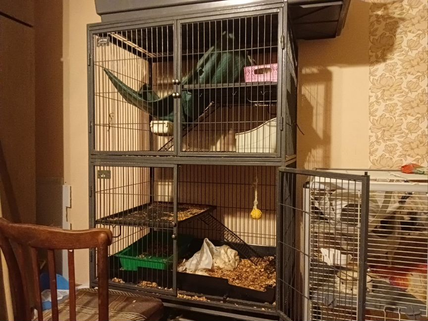 Клетка midwest Ferret Nation