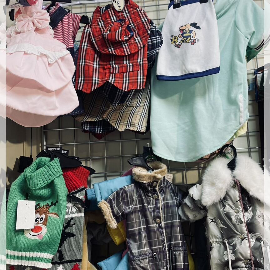 Одежда для животных