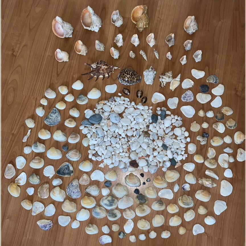 Морские ракушки, камни, декор