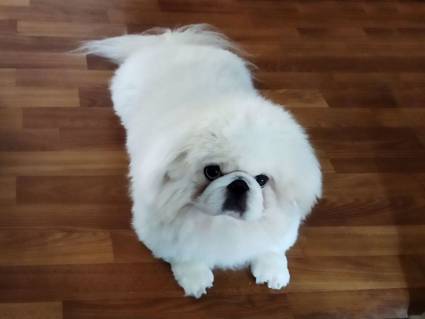 Вязка